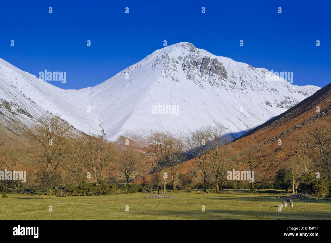 Great Gable covered in snow, seen from Wasdale Head Stock Photo - Alamy