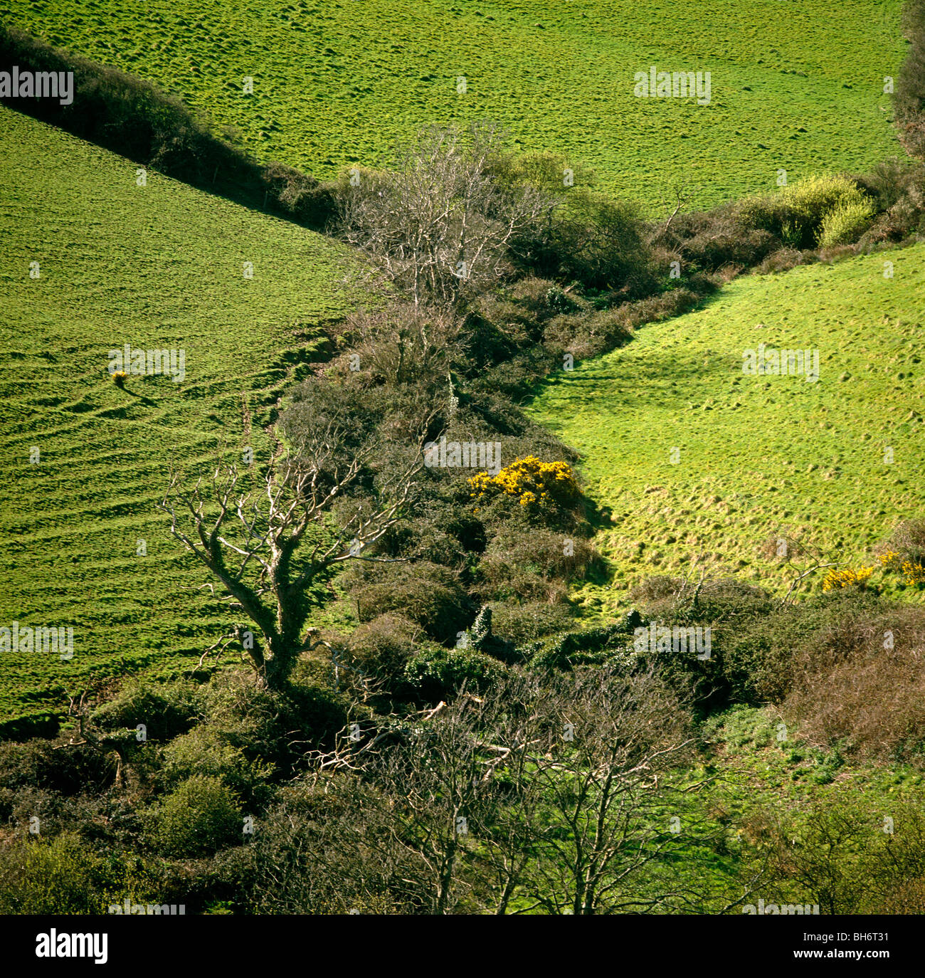 Aerial photo dorset countryside hi-res stock photography and images - Alamy
