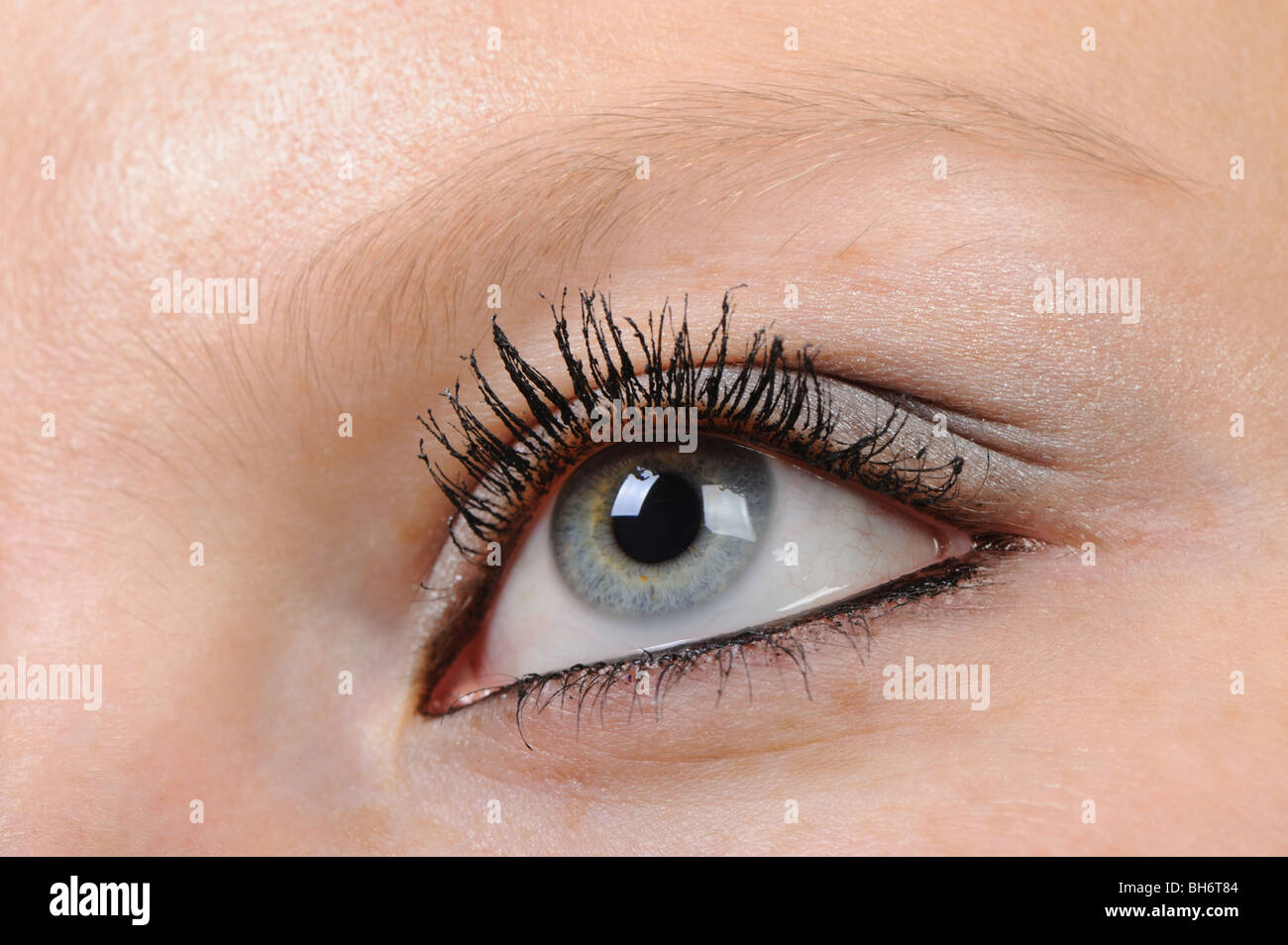 Female eye. A photo close up Stock Photo - Alamy