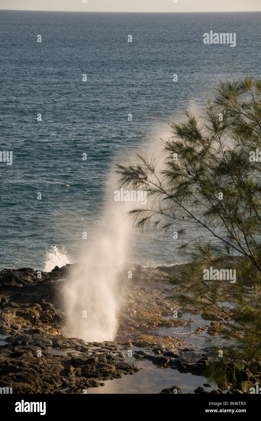 Spouting hi-res stock photography and images - Alamy
