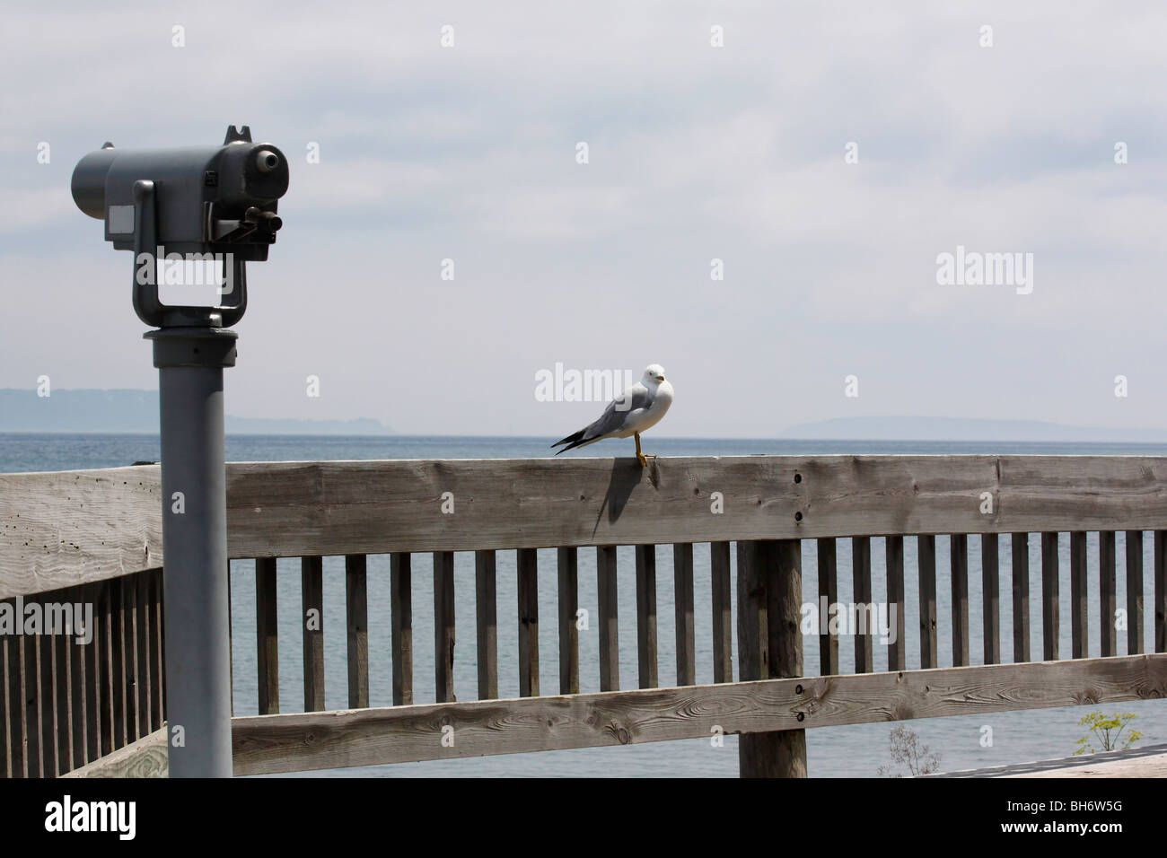 Binoculars hi res hi-res stock photography and images - Alamy