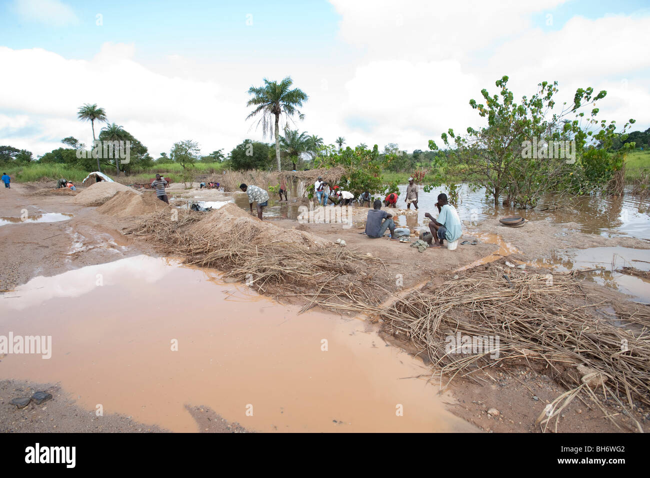 Kono High Resolution Stock Photography and Images - Alamy
