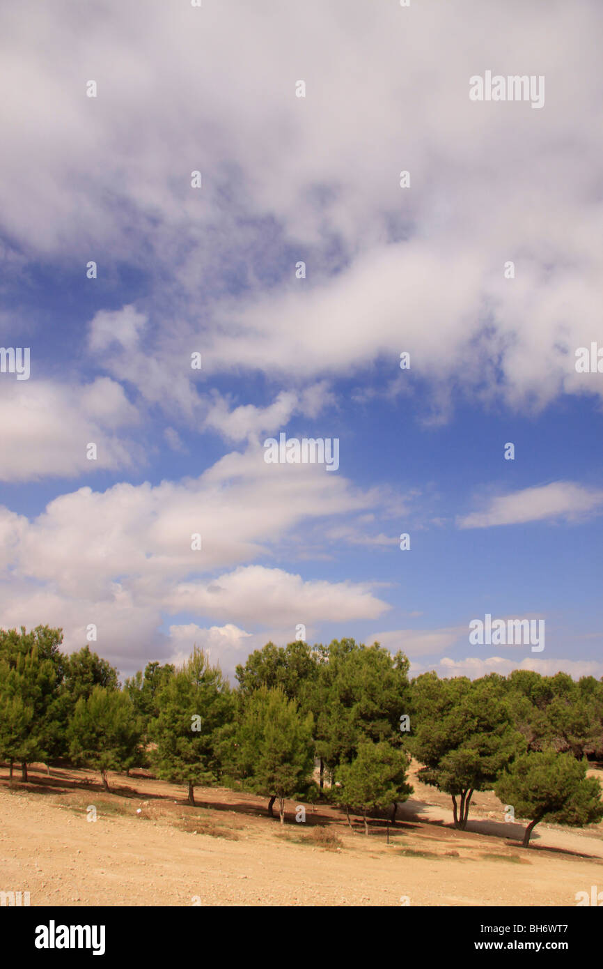 Israel, Northern Negev, Park Ofakim in Besor region Stock Photo - Alamy