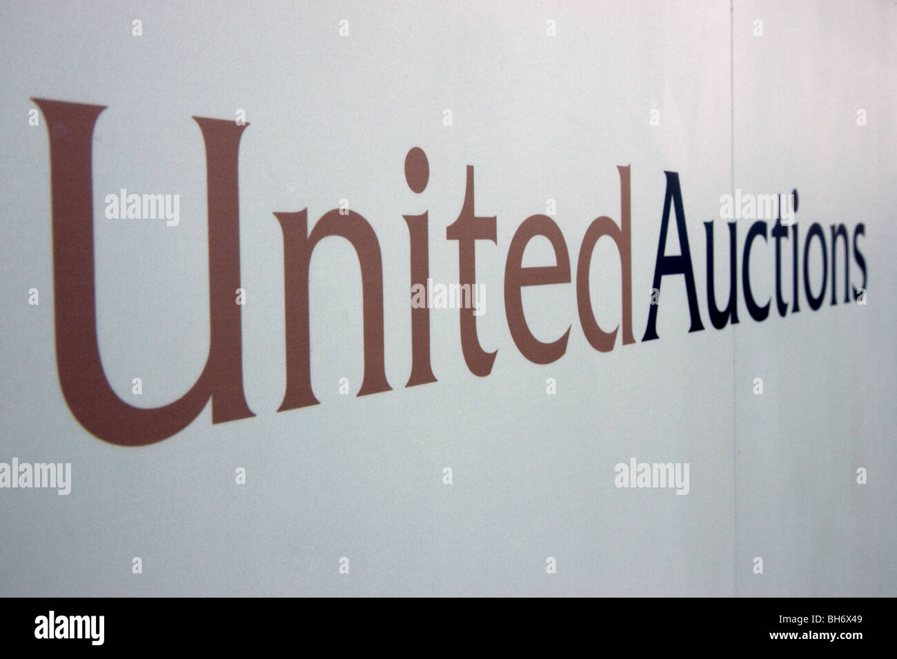 United Auctions Stirling Livestock Market Stock Photo - Alamy