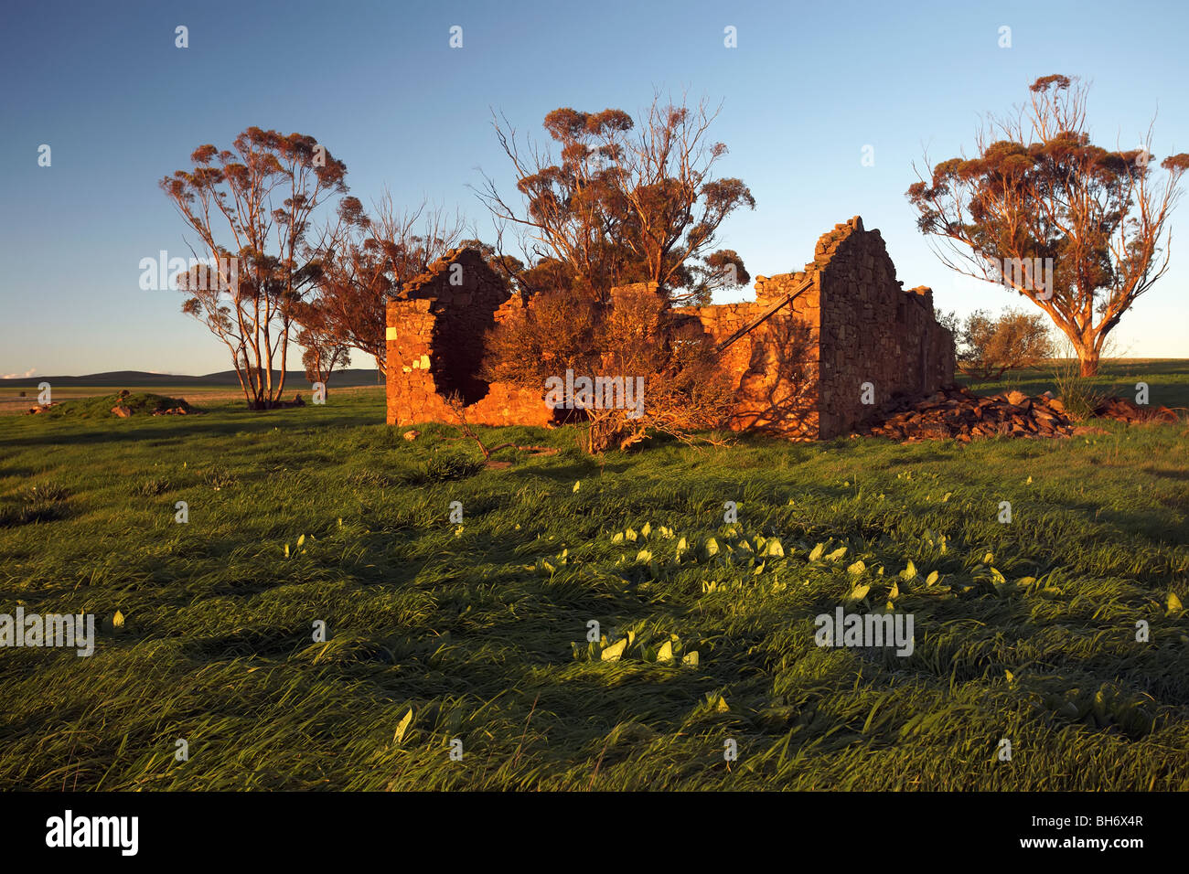 Abandoned Farm Homestead Stock Photo - Alamy