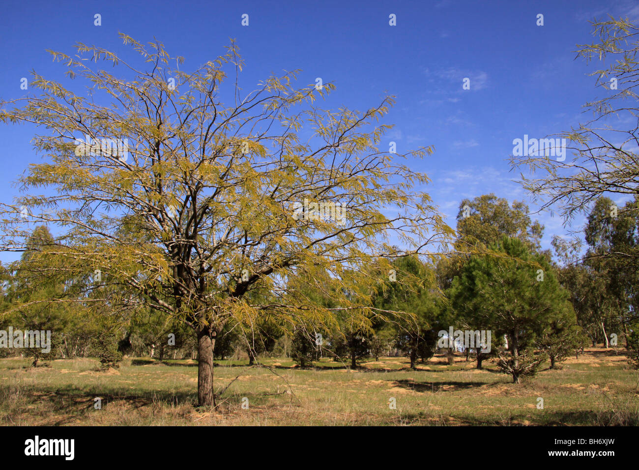 Hi310 188 hi-res stock photography and images - Alamy