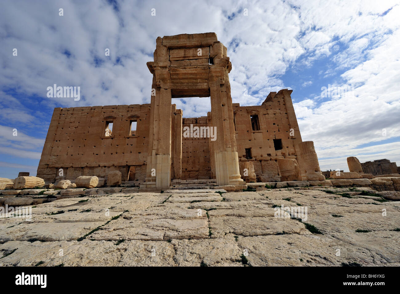 Archaeological site of palmyra hi-res stock photography and images - Alamy