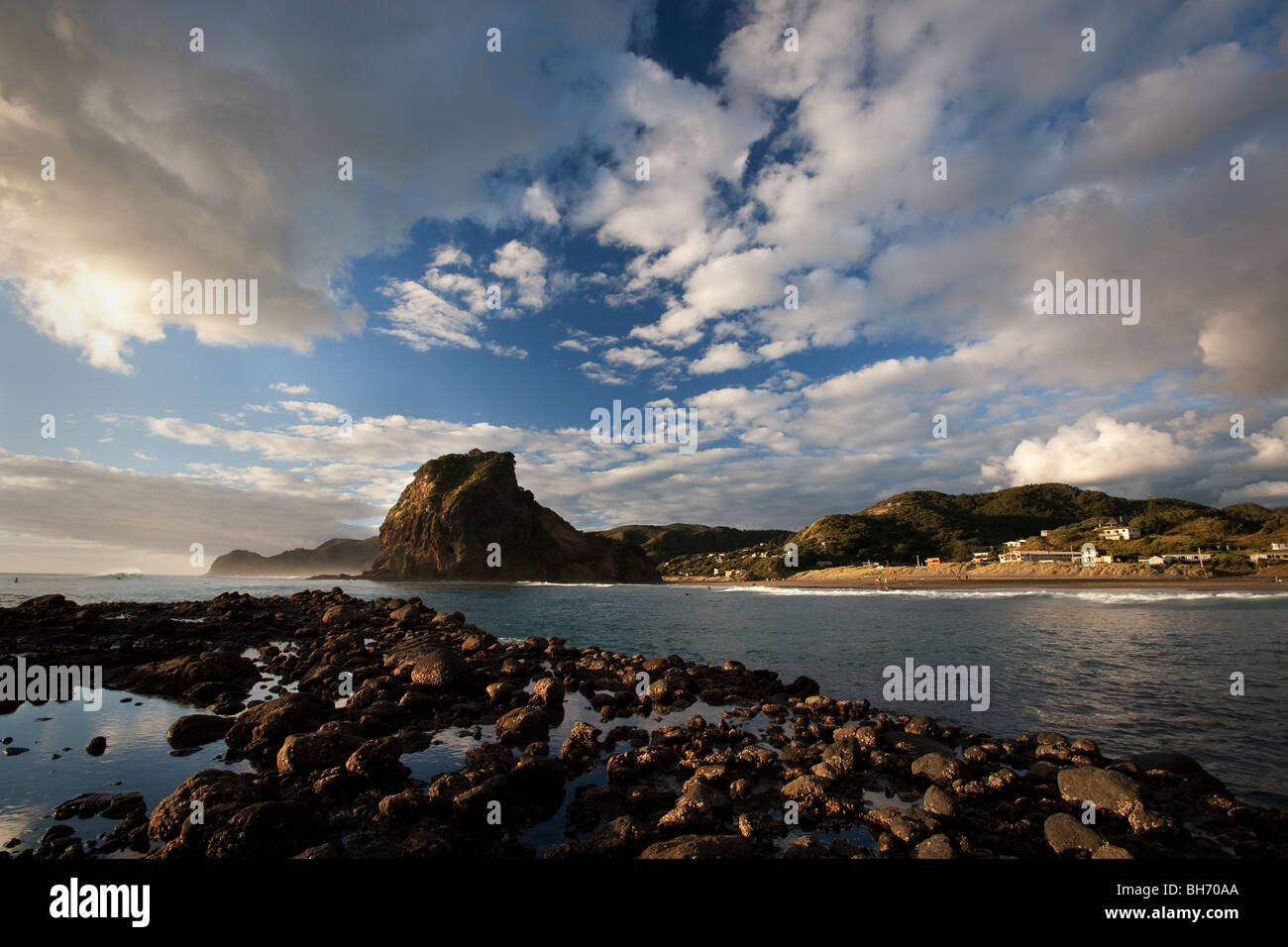 Piha Beach, West Coast, Auckland, New Zealand Stock Photo - Alamy