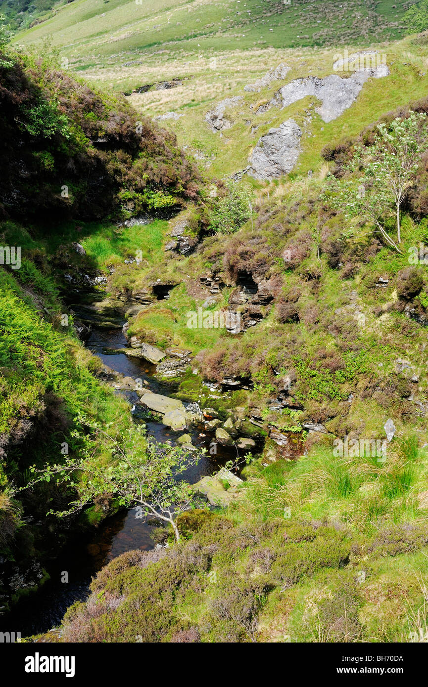 Small Gorge High Resolution Stock Photography and Images - Alamy
