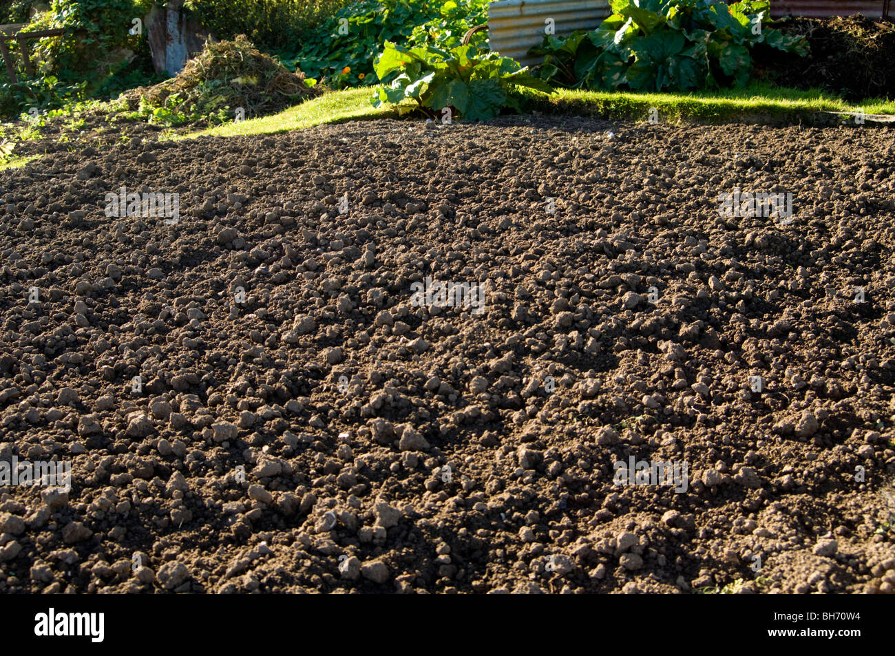 Finely dug soil on an allotment plot Stock Photo - Alamy