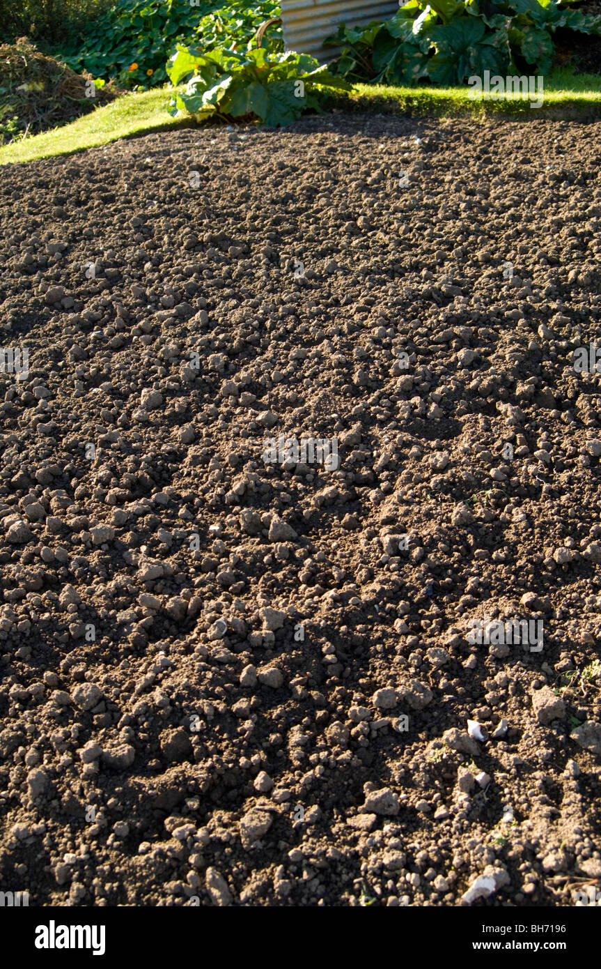 Finely dug soil on an allotment plot Stock Photo - Alamy