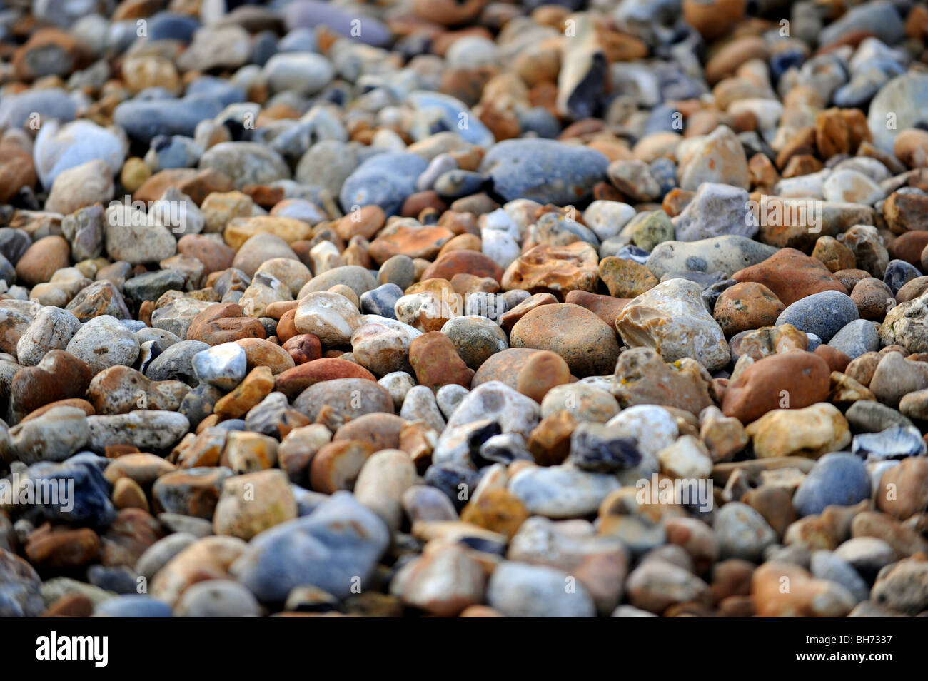 Pebbles on Brighton beach Stock Photo - Alamy