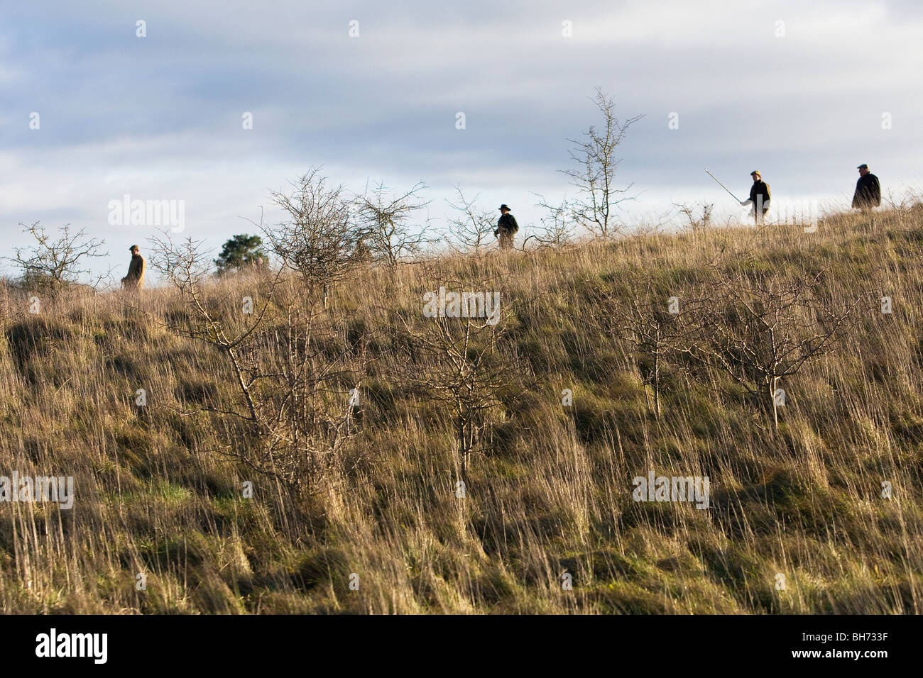 Beaters on Pheasant Shoot Stock Photo - Alamy