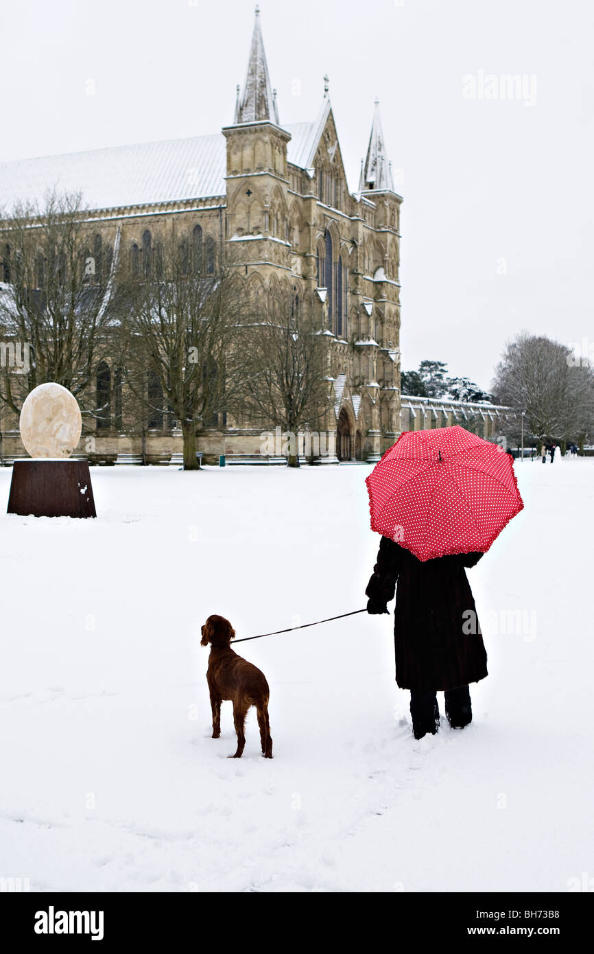 Salisbury cathedral winter hi-res stock photography and images - Alamy