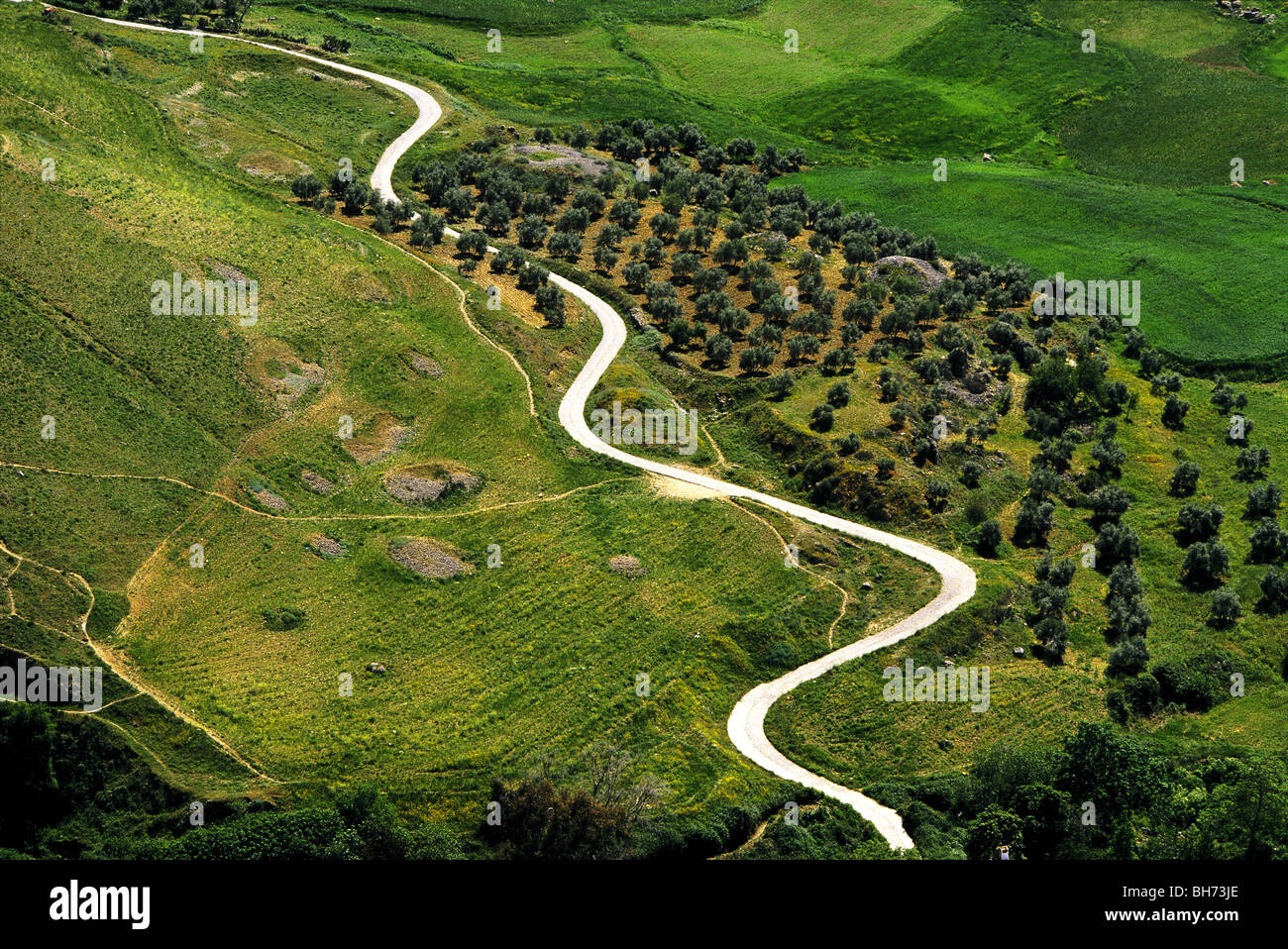 White road hi-res stock photography and images - Alamy
