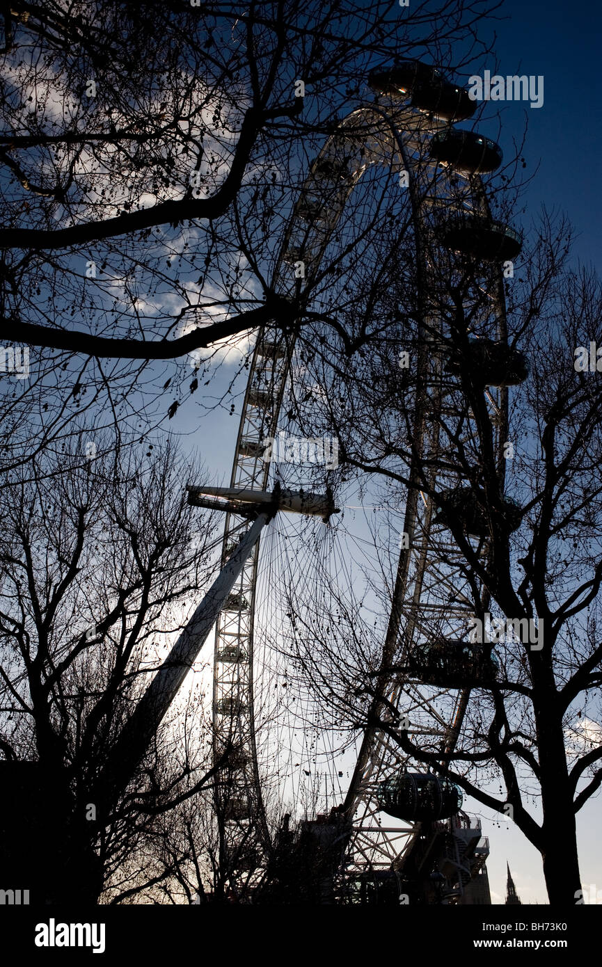Wind Tree London Photographer Pictures From London And
