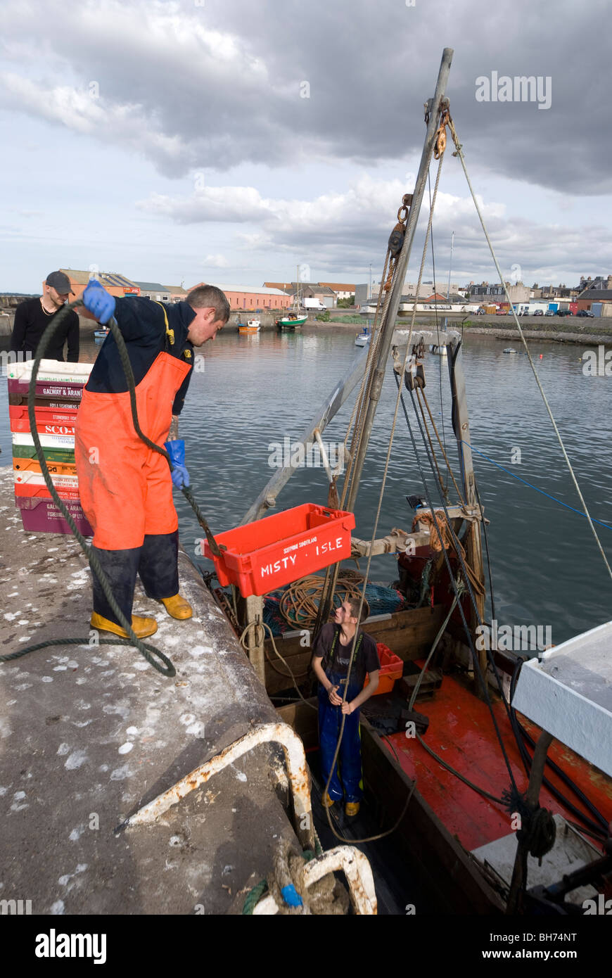Unloading scampi from fishing boat hi-res stock photography and images ...