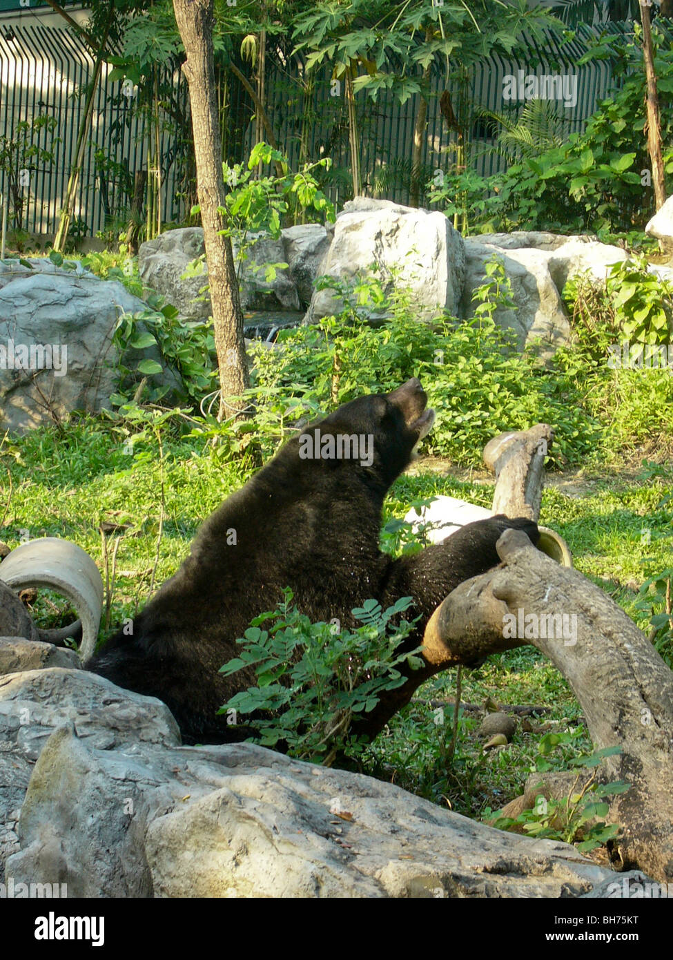 Bangkok, Thailand, Animals in City Zoo Stock Photo - Alamy