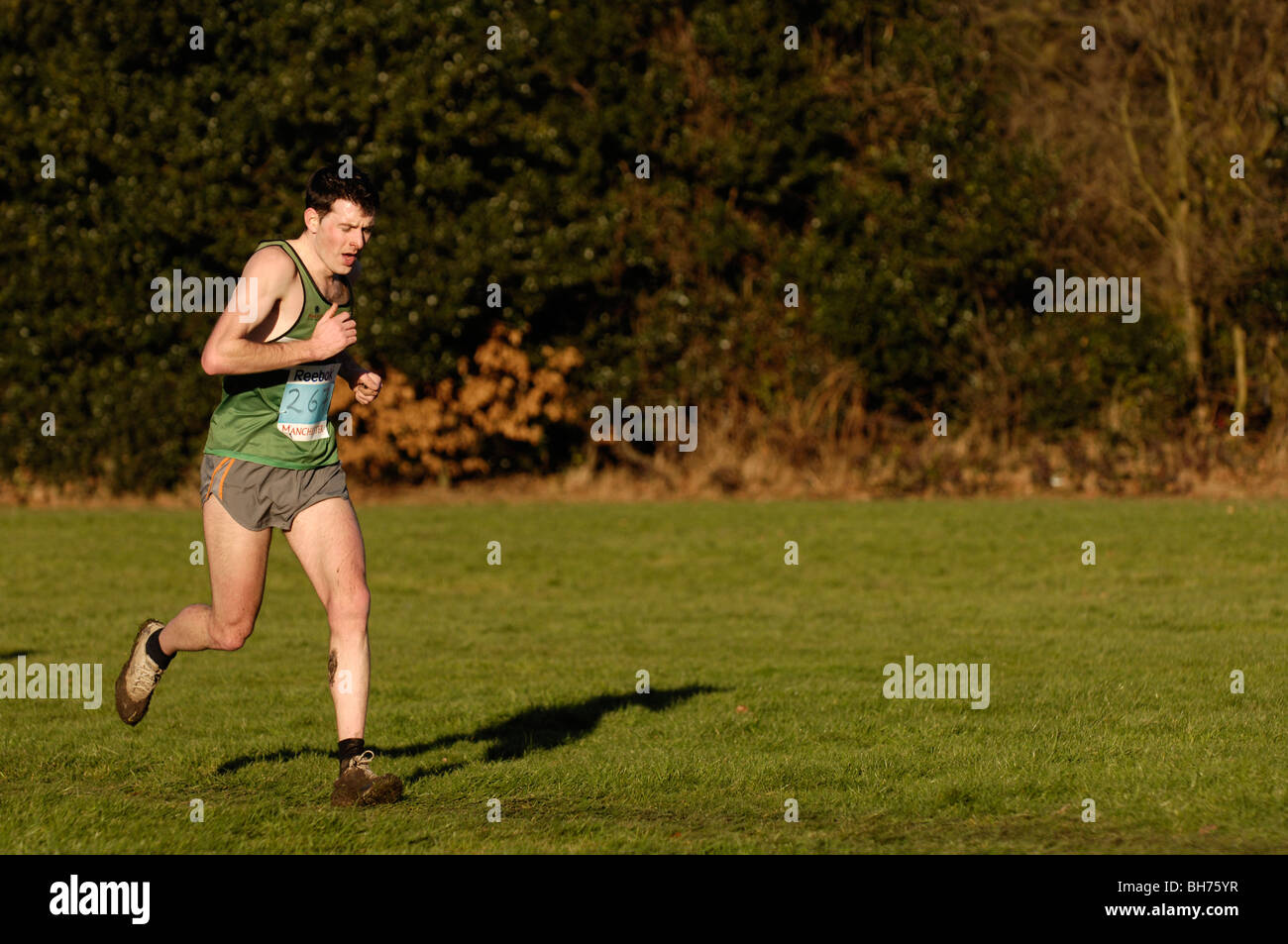 male cross-country runner Stock Photo - Alamy
