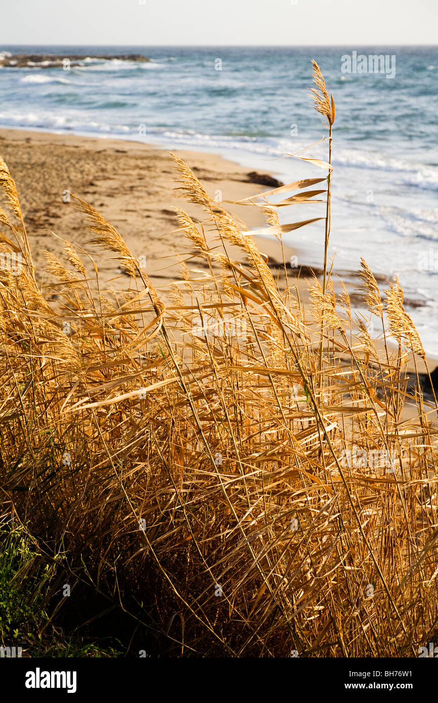 Paphos Afternoon High Resolution Stock Photography and Images - Alamy