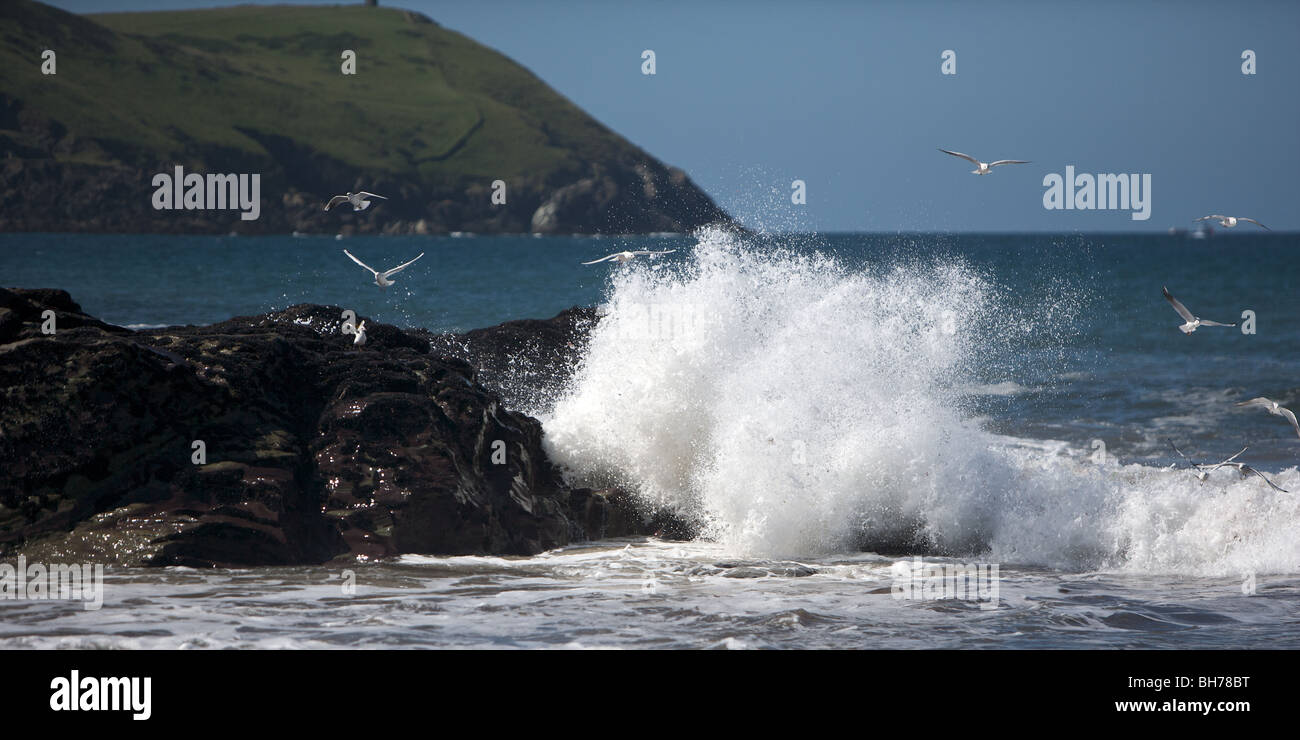 Polzeath Ocean View Stock Photo - Alamy