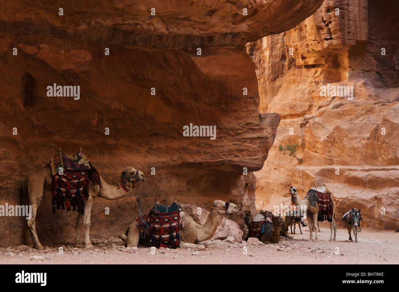 The Nabatean tombs of Petra, Jordan, were taken over by the Romans as ...