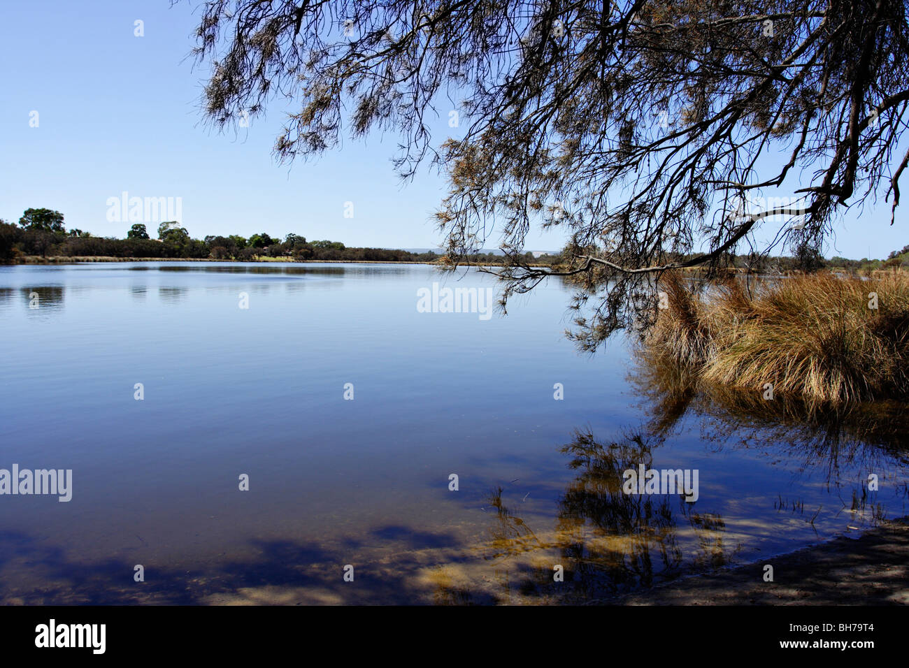 Canning River Regional Park, Western Australia Stock Photo - Alamy