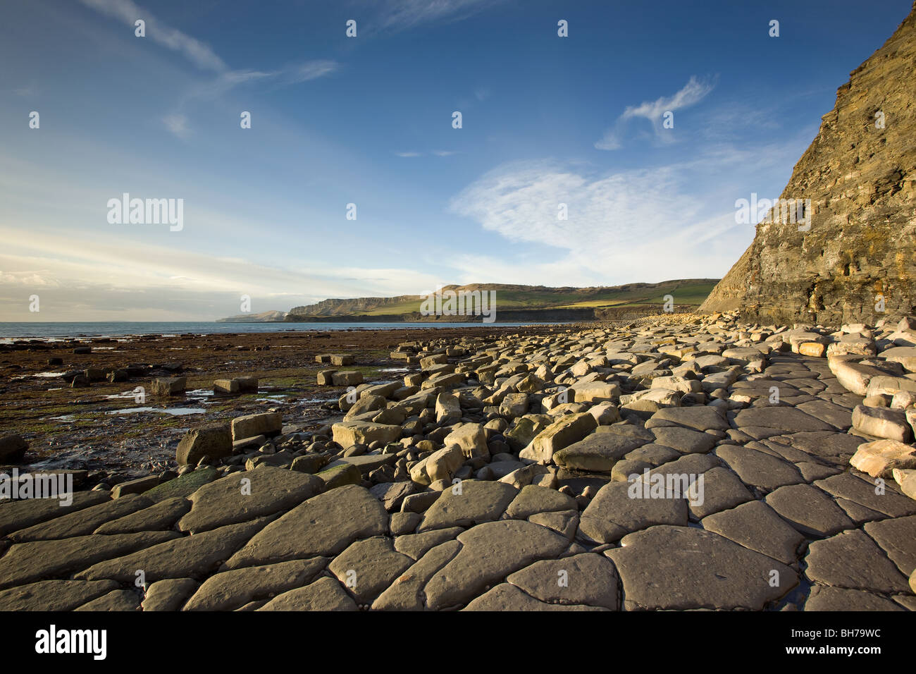 Extreme low tide at Kimmeridge Bay, Dorset revealing some of the rock ...