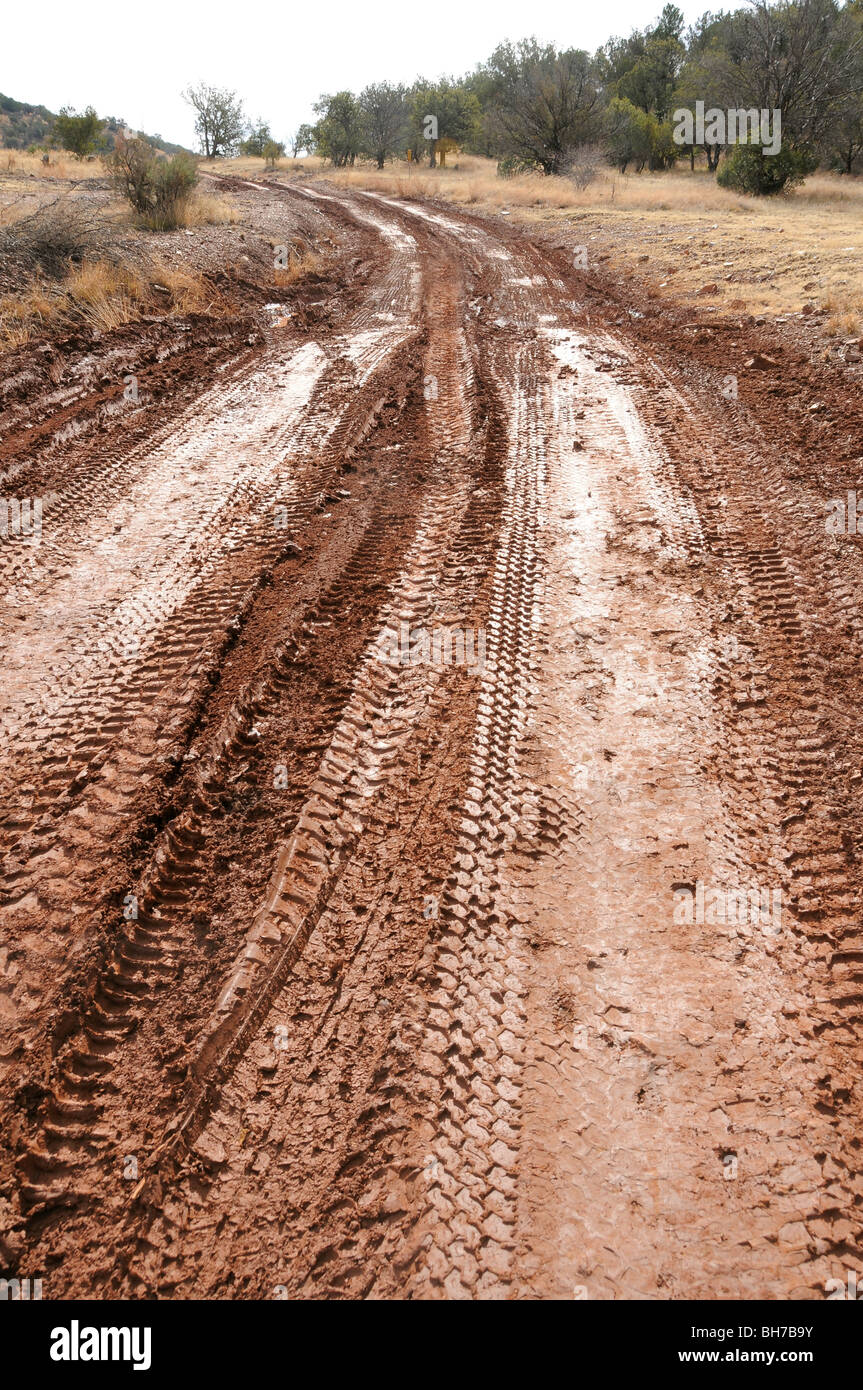 Muddy Road