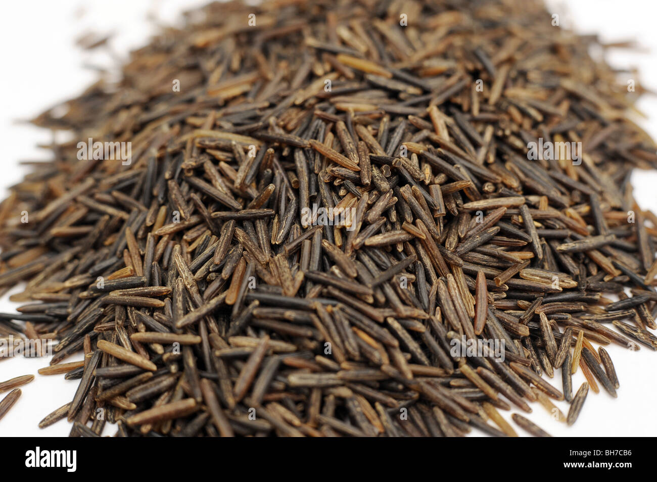 Ziania hi-res stock photography and images - Alamy