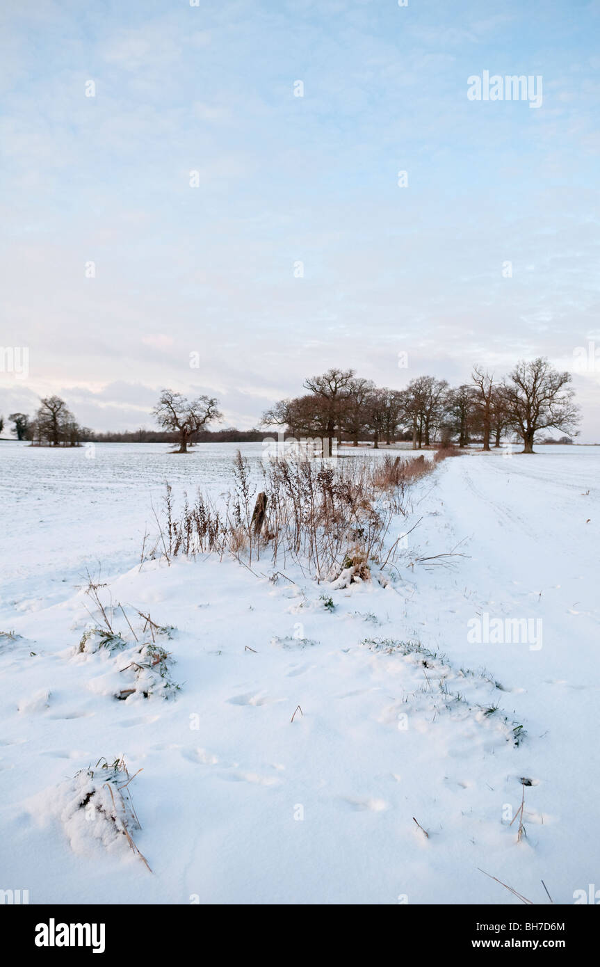 Landscape in snow Stock Photo - Alamy