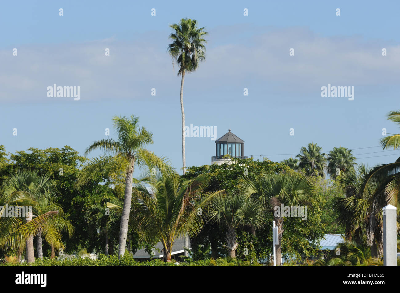 Lighthouse with palm trees hi-res stock photography and images - Alamy