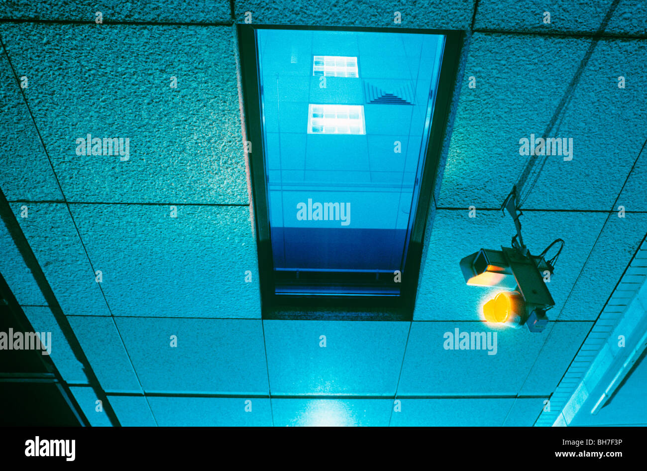 An infra-red film image showing a colour shift during a night-time ...