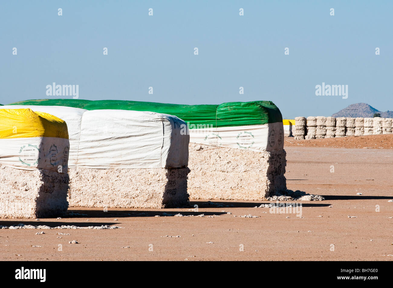 cotton modules at a cotton gin in Arizona Stock Photo - Alamy