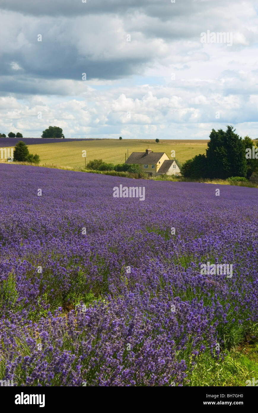 Snowshill farm hi-res stock photography and images - Alamy