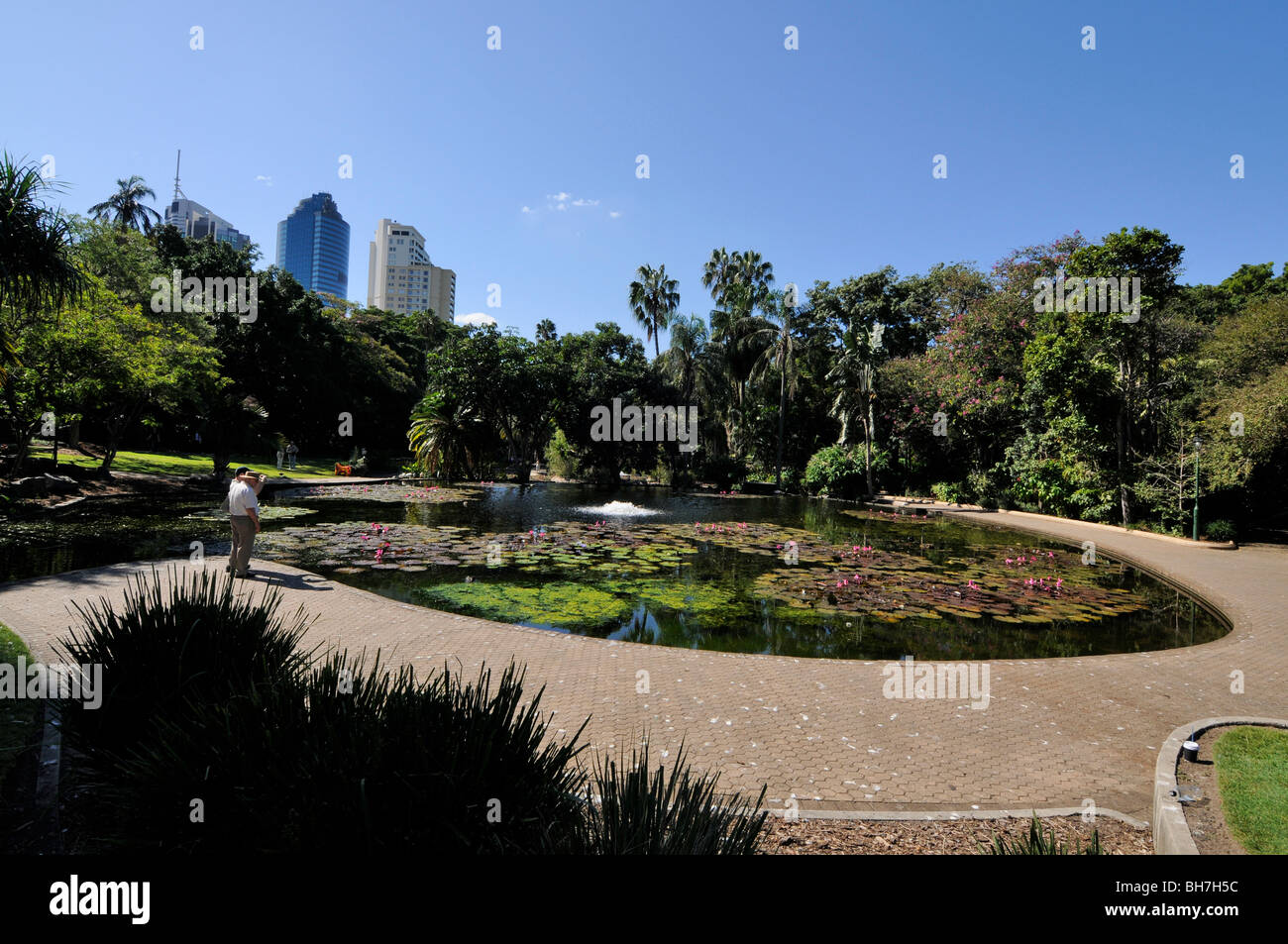 Brisbane botanic gardens hi-res stock photography and images - Alamy