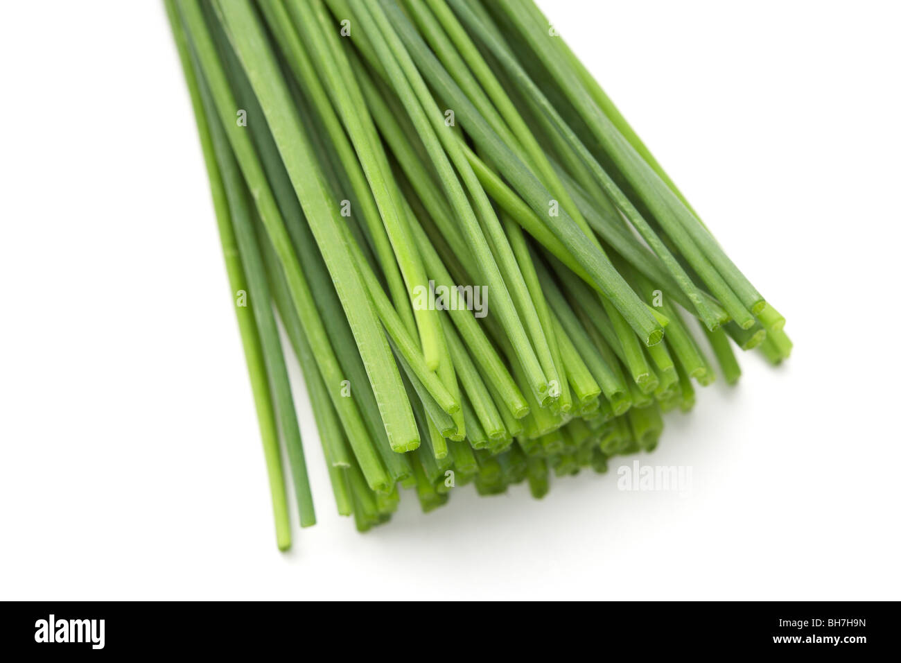 Chives on a white background Stock Photo - Alamy