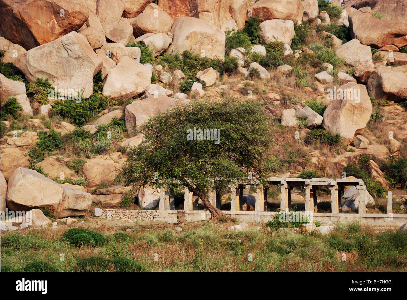 Lone tree amidst rocks and temple remains in Hampi, India Stock Photo ...