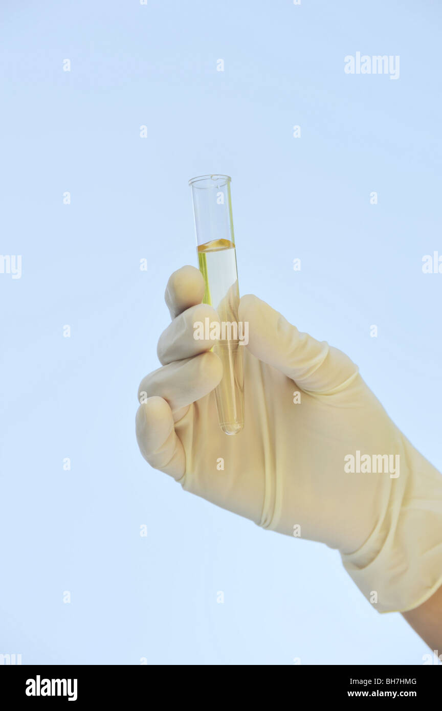 Hand holding test tube Stock Photo - Alamy