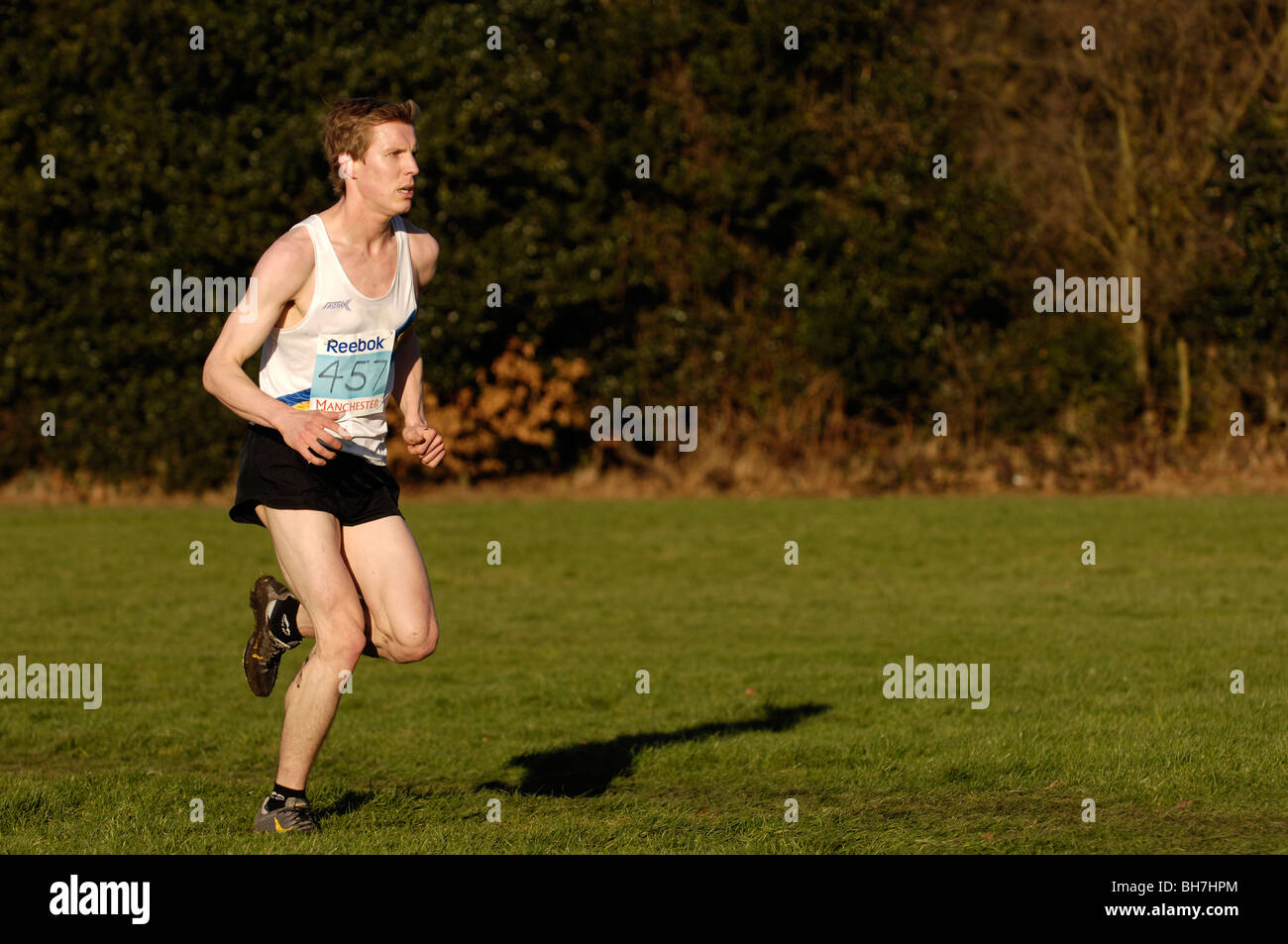 male cross-country runner Stock Photo - Alamy