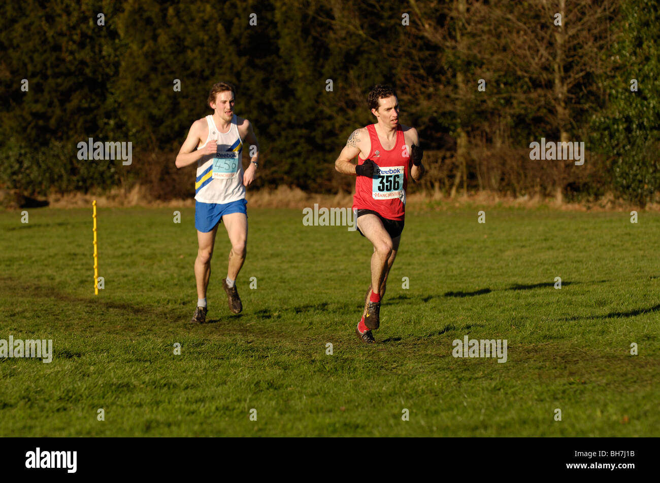 two male cross-country runners Stock Photo - Alamy
