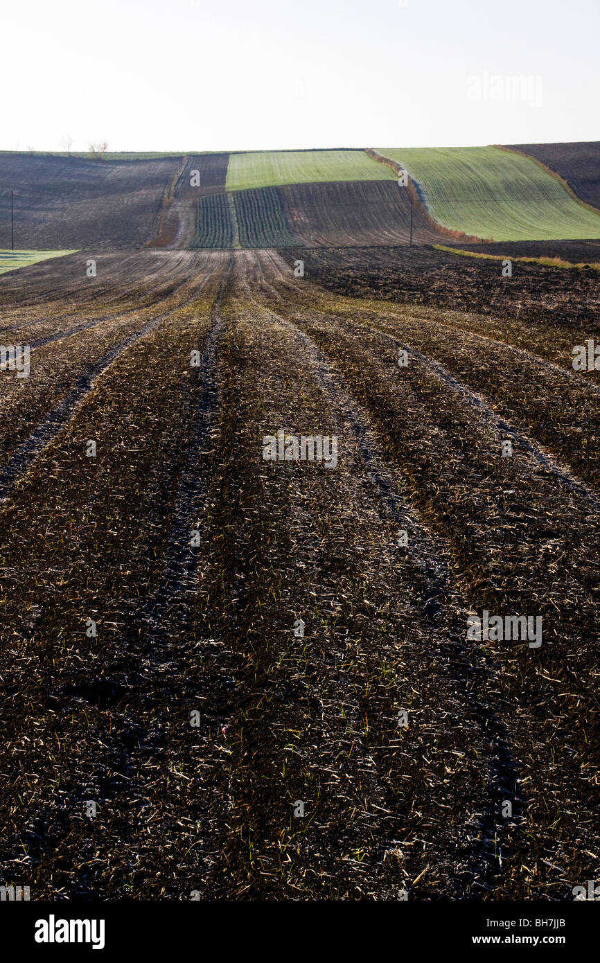 Fall field hi-res stock photography and images - Alamy