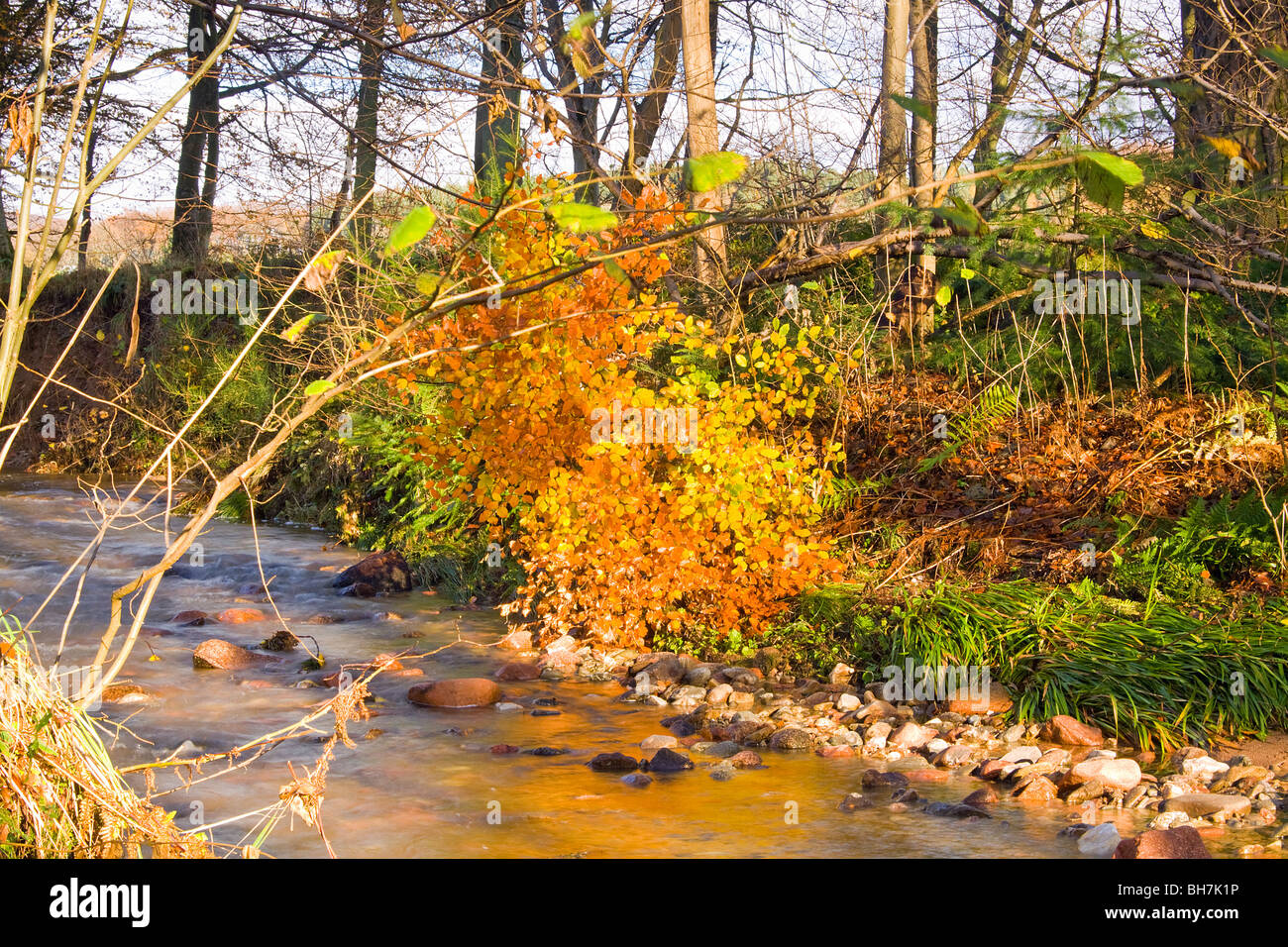 Fettercairn hi-res stock photography and images - Alamy