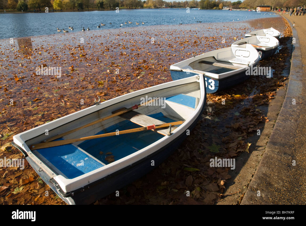 A series of four blue and white rowing boats on the Serpentine Lake in ...