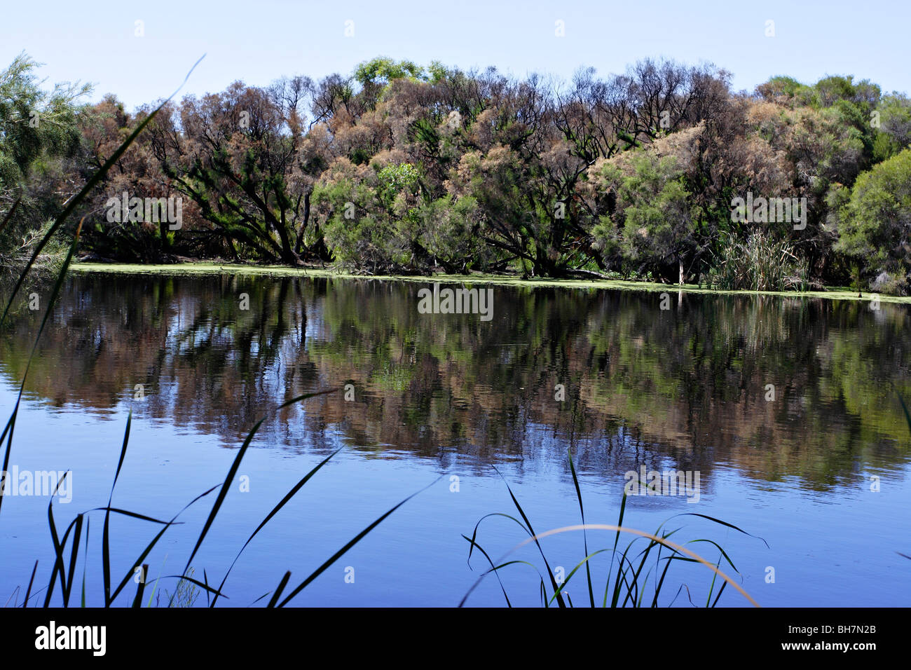 Canning river western australia hi-res stock photography and images - Alamy