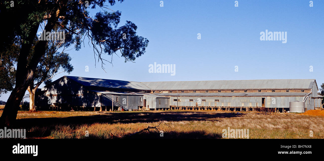 Heritage sheep shed hi-res stock photography and images - Alamy