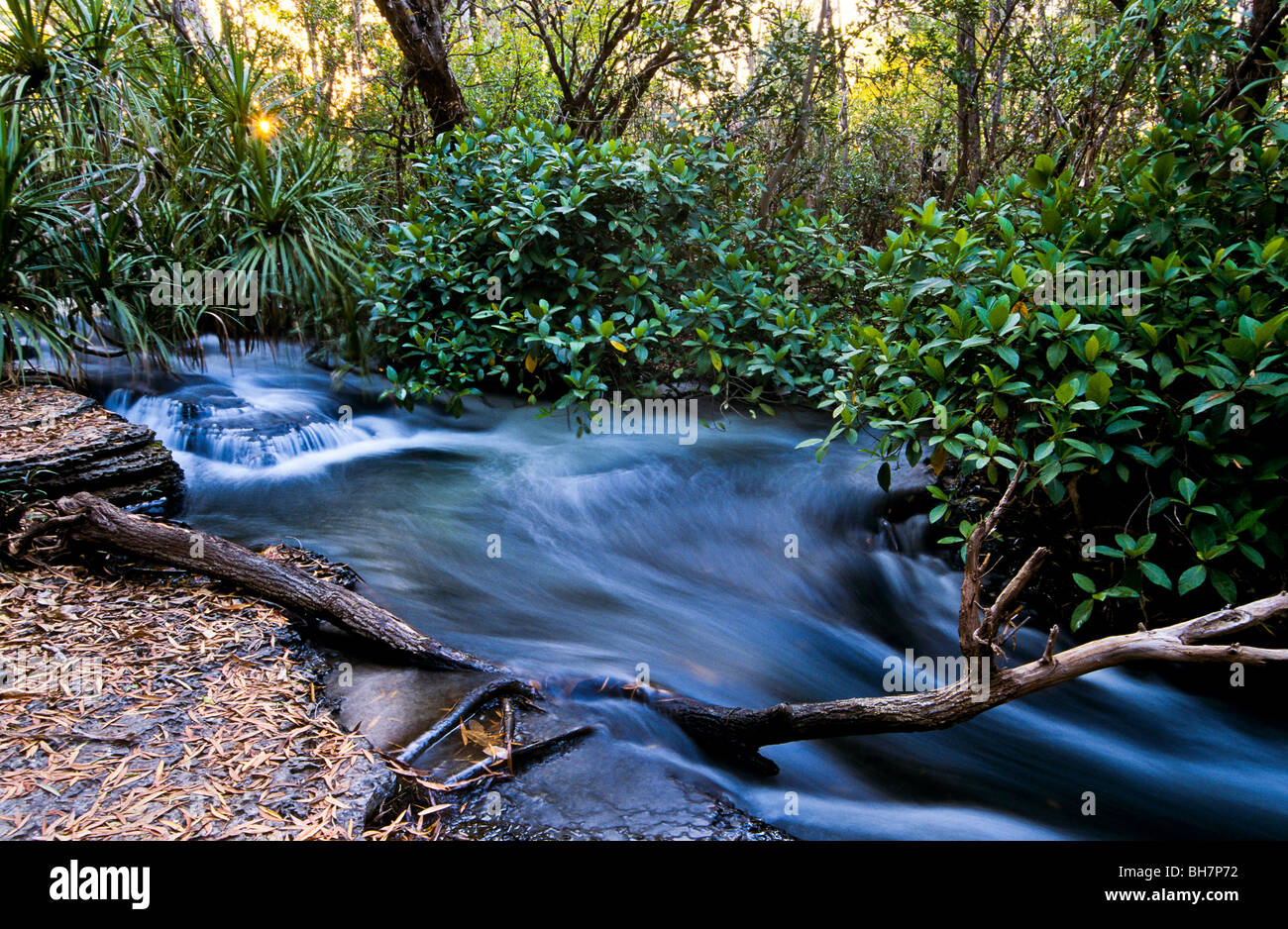 Douglas River running over limestone shelf Northern Territory ...