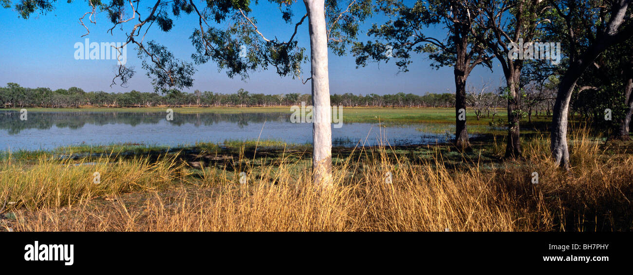 Australian lagoon plants hi-res stock photography and images - Alamy