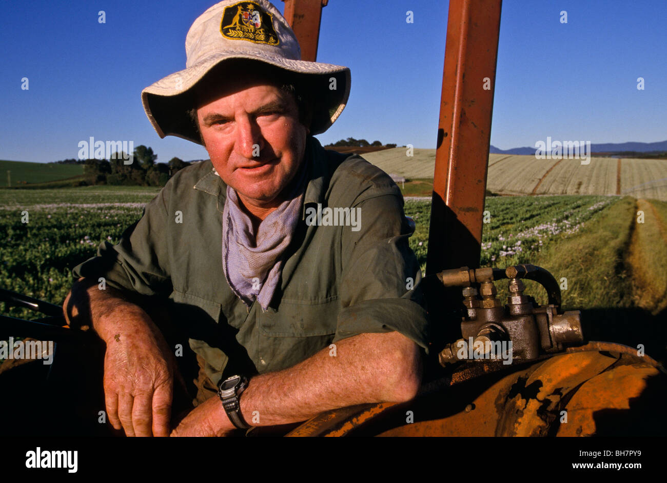 Poppy tasmania hi-res stock photography and images - Alamy