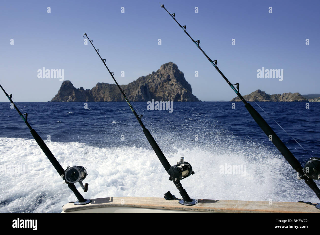 Blue Marlin Ibiza High Resolution Stock Photography and Images - Alamy